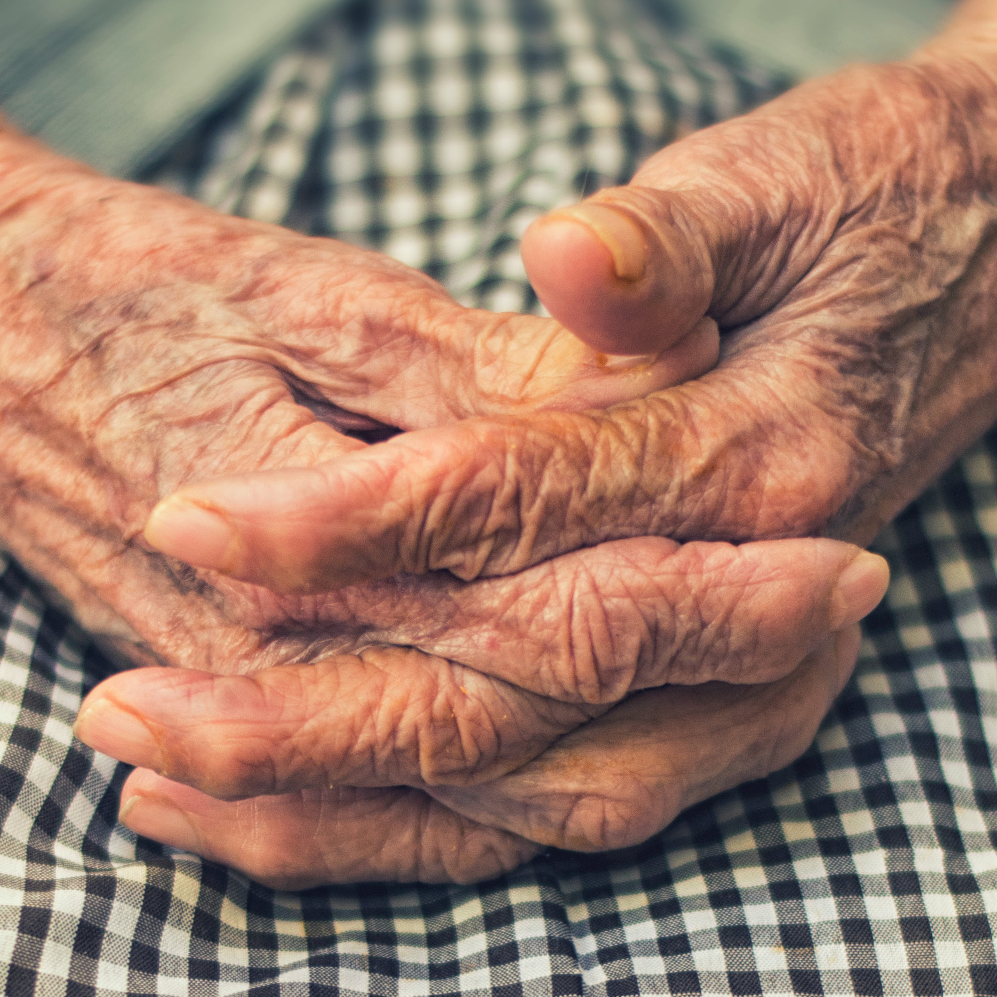 Archdiocese of Toronto - Elder Abuse and the Modern Family: What You ...